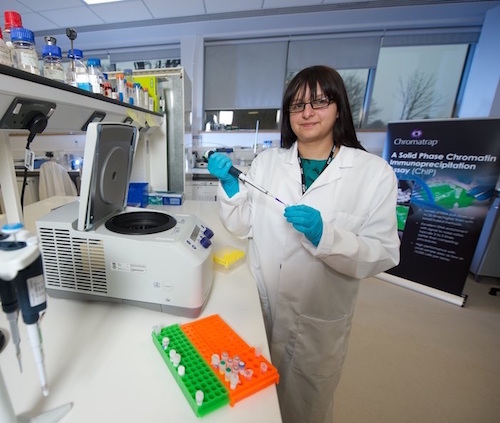 FFPE ChIP-seq Assay Kit for Tissues, Biopsies and Difficult to Lyse ... FFPE ChIP-seq Assay Kit for Tissues, Biopsies and Difficult to Lyse ...